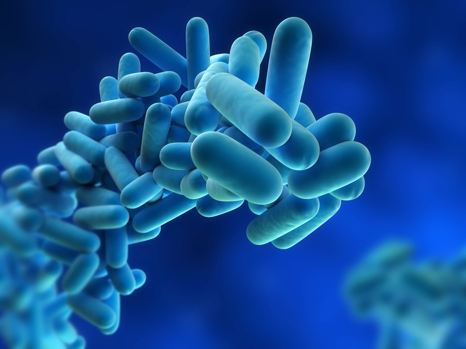 How to Kill Legionella Bacteria Effectively | Advice From Specialists